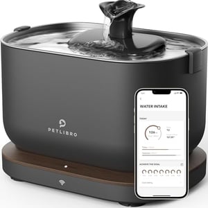 Experience Efficient Hydration with PETLIBRO App Monitoring Cat Water ...